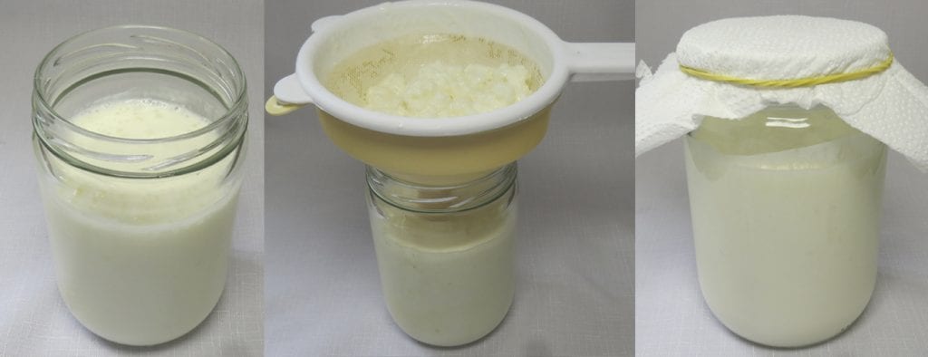 Kefir em casa: Saiba como fazer | Como fazer em casa Probiótico natural