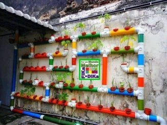 Hortas verticais com canos PVC - Como fazer em casa