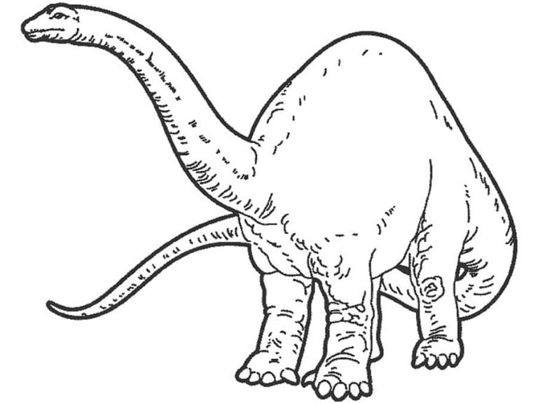 50+ Desenhos de Dinossauro para colorir - Como fazer em casa