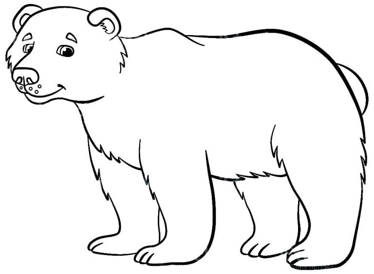 120+ Desenhos de Animais para colorir - Como fazer em casa