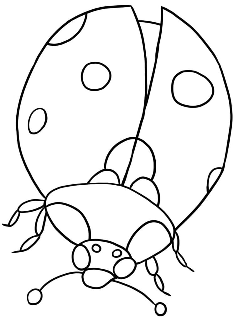 50+ Desenhos para colorir de Insetos - Como fazer em casa