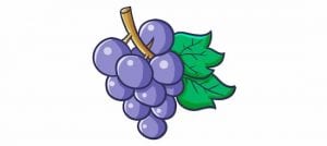 30+ Desenhos para colorir de Uva - Como fazer em casa