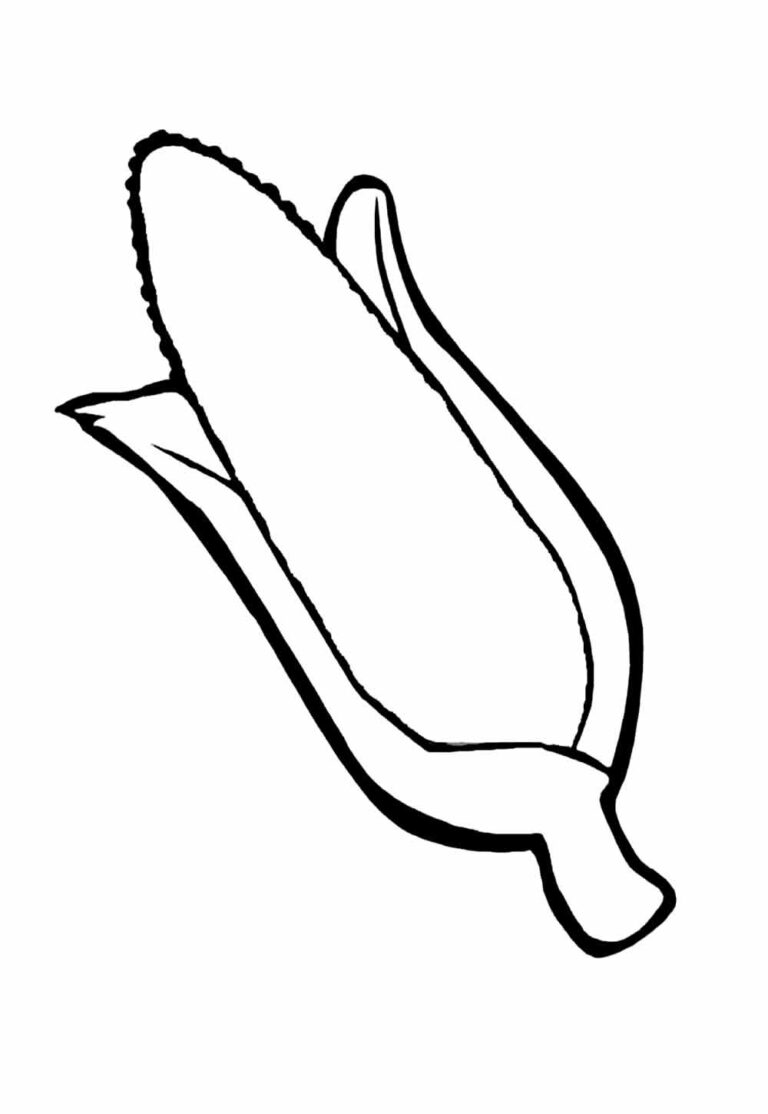 Desenhos de Milho para colorir - Como fazer em casa